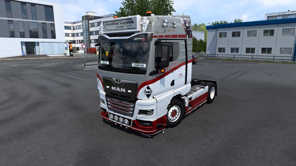 MAN TGX 2020 Holland Style Skin 4k