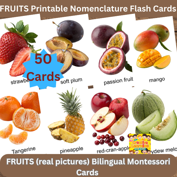 100+ Colorful Montessori Flash Cards Bundle for 60% discount : Alphabet ...