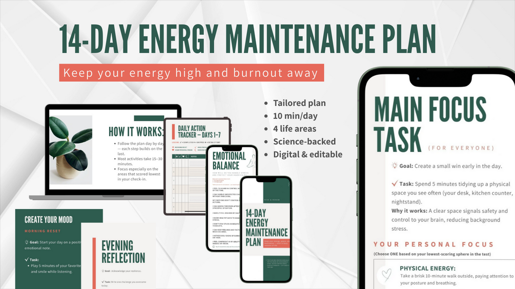 14-Day Energy Maintenance plan