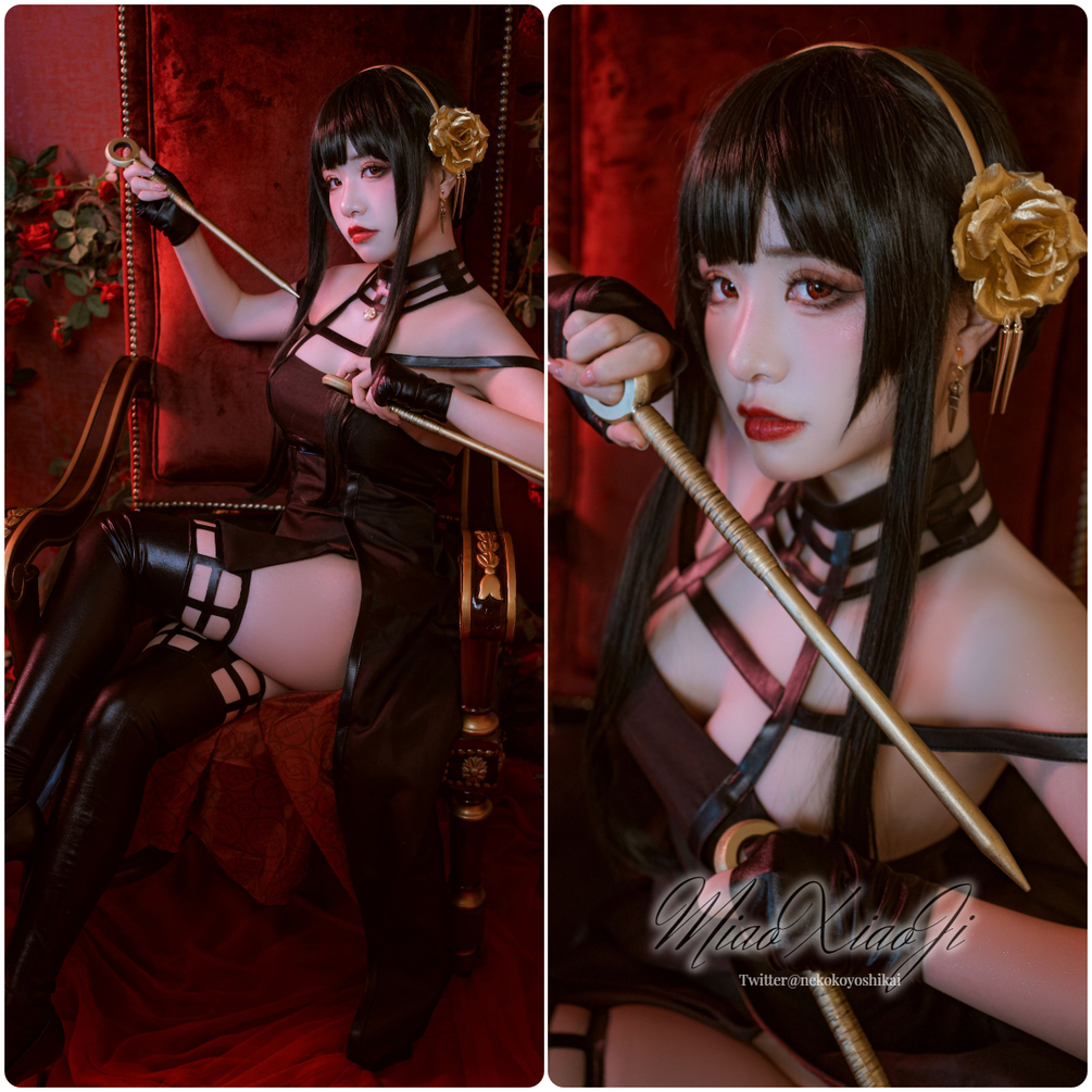 ⚔️Spy × Family [75P+2V]