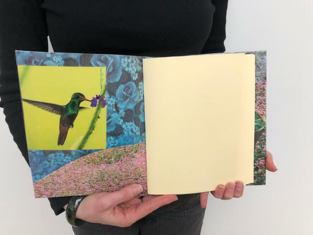 Step-by-step guide to create your own notebook