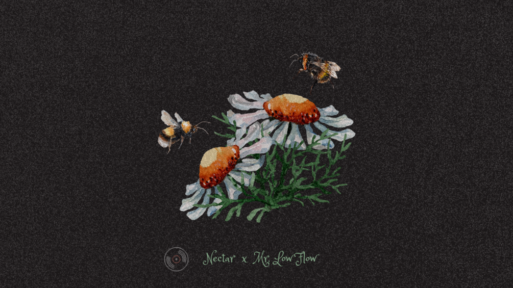 Nectar (Lofi) [No Copyright Music]