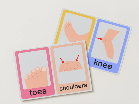 Printable Body Parts Flash Cards – Educational Learning Set for ...
