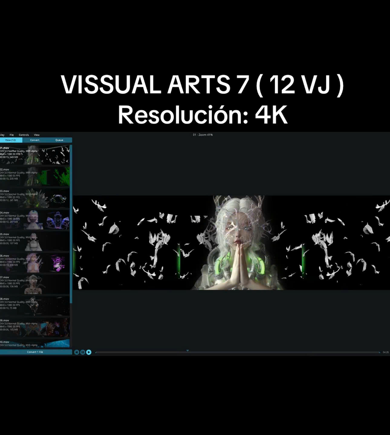 VISUAL ARTS 7 4K ( 12VJ )
