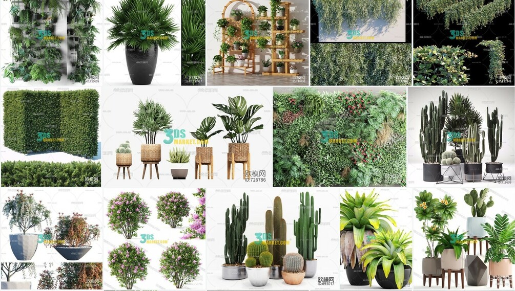 Collection Plant 2020 Part 1 - 3d model, 3dsmax