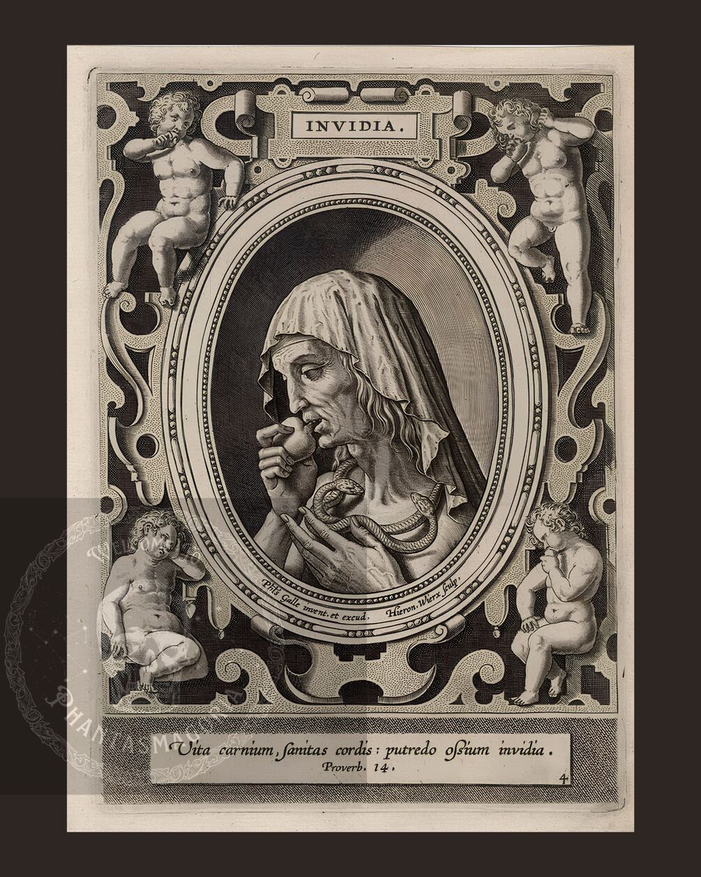 Invidia VII Peccatorum Capitalium Engraving - Envy Bust with Snakes ...