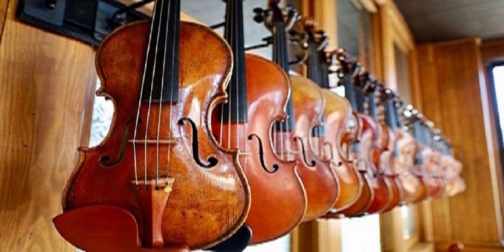 Discover Quality Violins, Violas, and Rentals to Enhance Your Music in ...