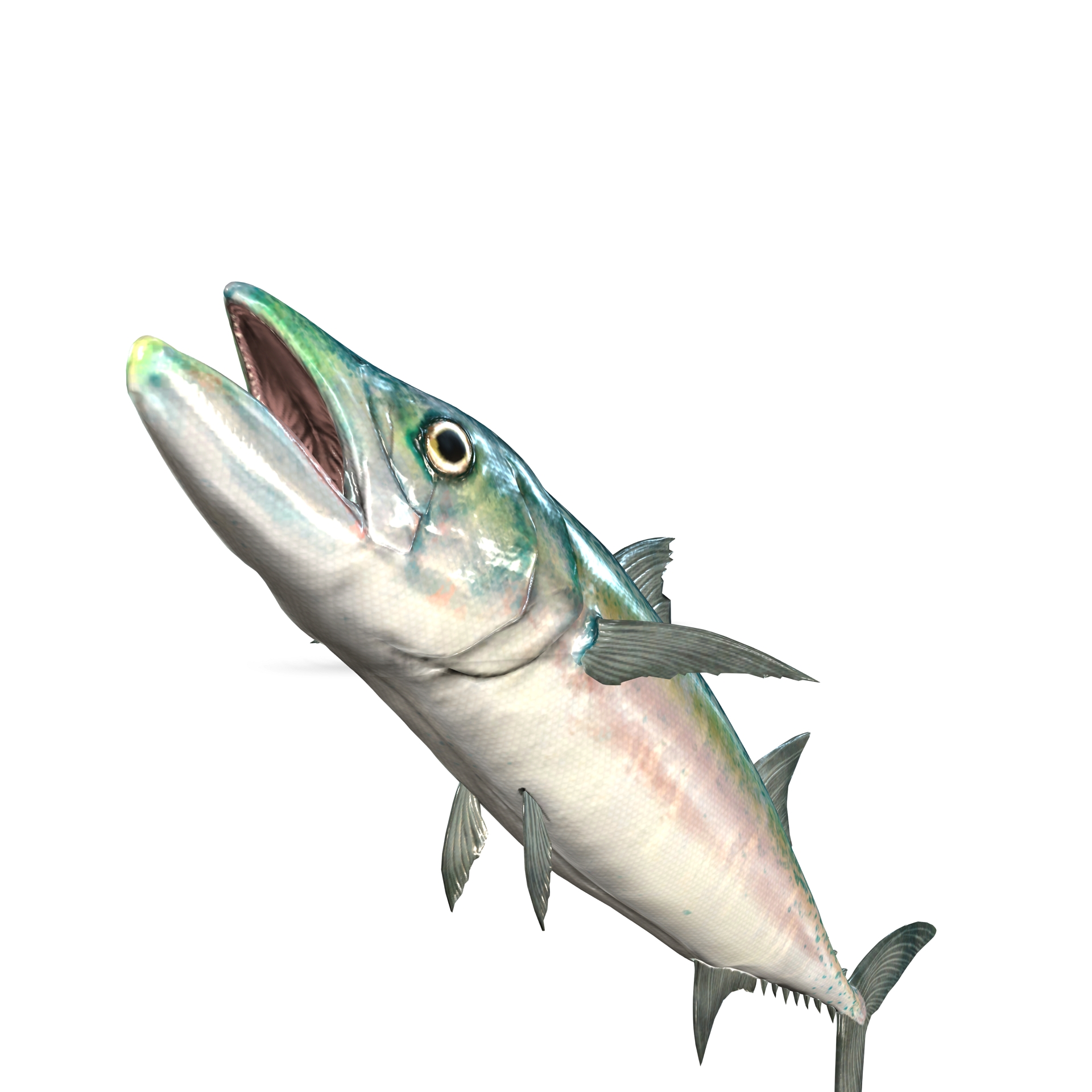 WAHOO FISH PREHISTORIC DOLPHIN FISH SEA CREATURE 3D MODEL RIGGED