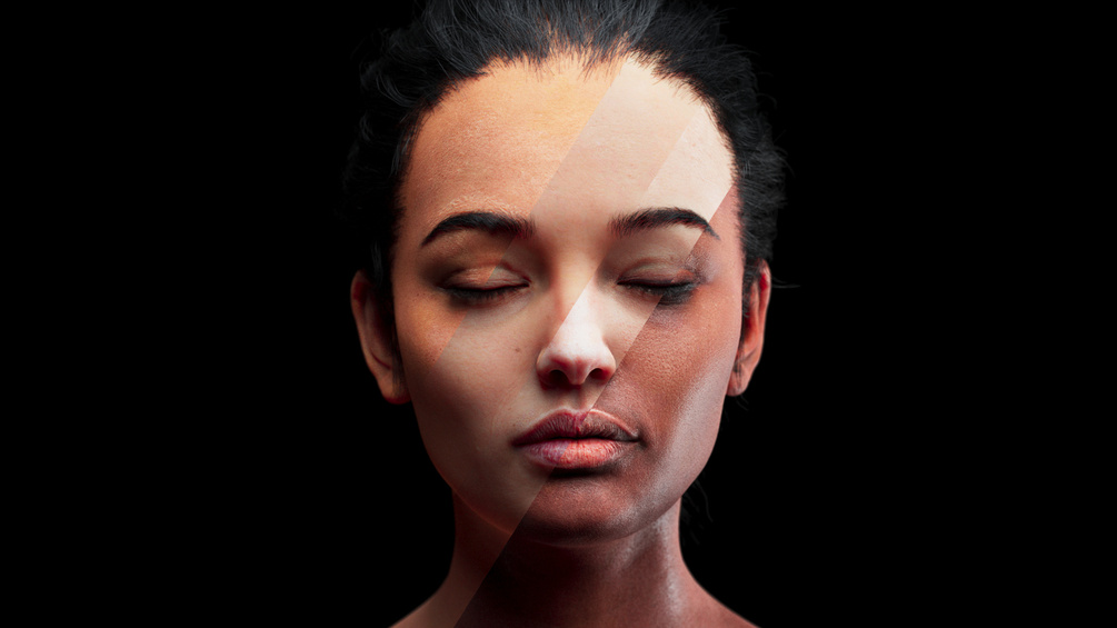 Genesis 8.1 - Bundle All In One