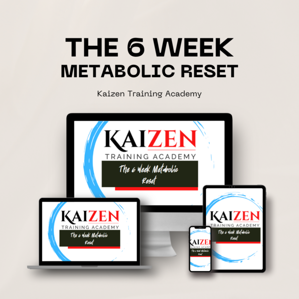 Kaizen Training Academy