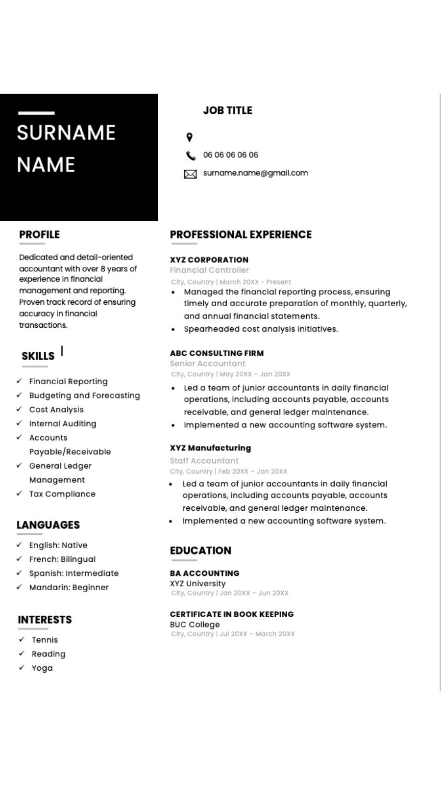 Proffisional CV Tempalet Microsoft Word without Picture