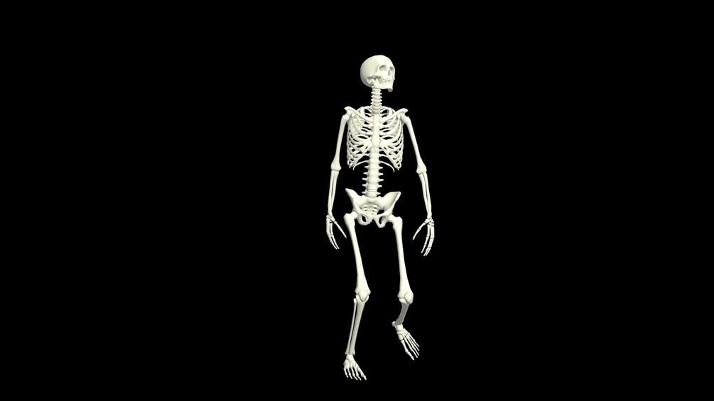 Skeleton Dancing 3D model Version #16 - Locking Hip Hop Dance