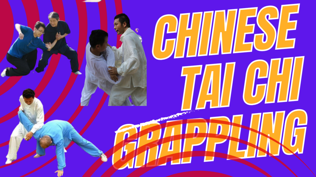 Chinese Tai Chi Grappling 6