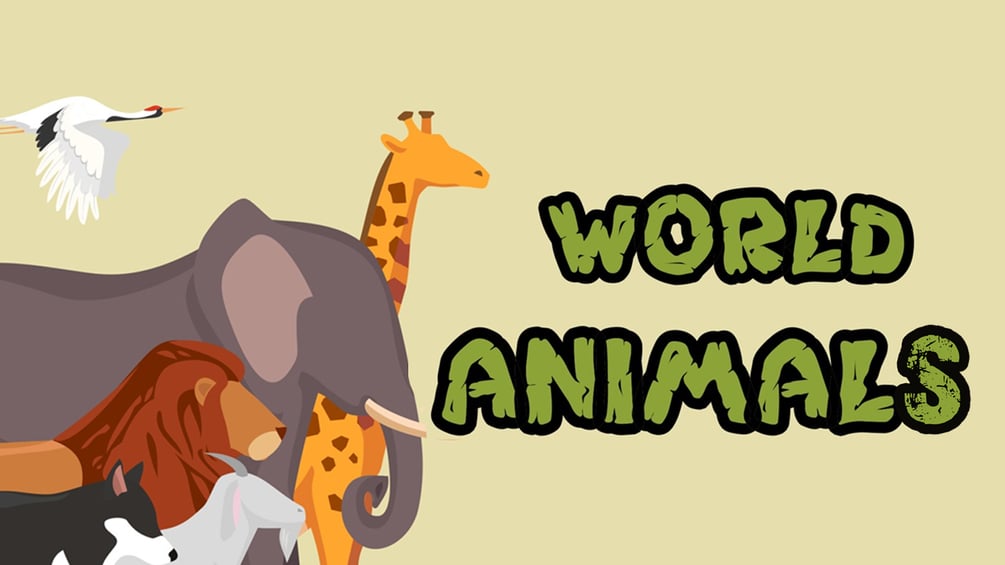The Amazing World of Animals