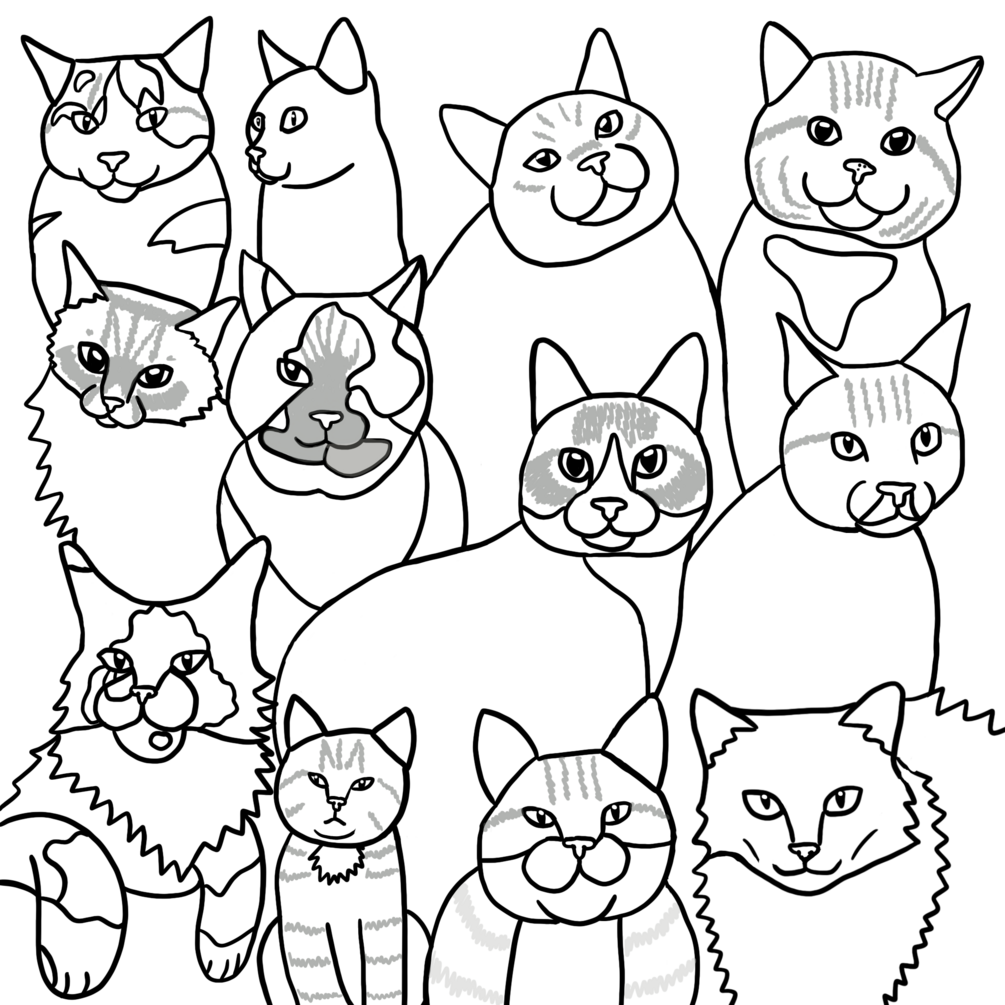 Cats of Twitter Colouring Page