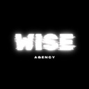 Wise agency