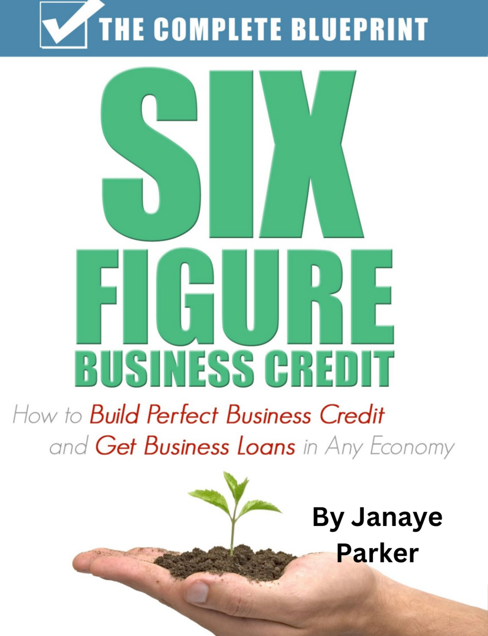 Six Figure Business Credit Book