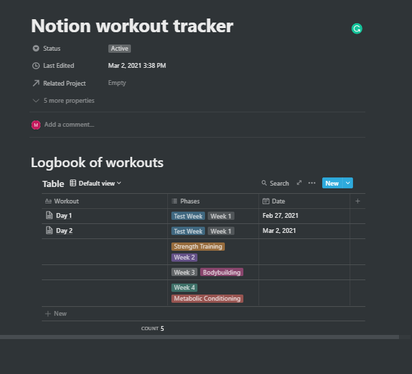 Notion Workout Tracker