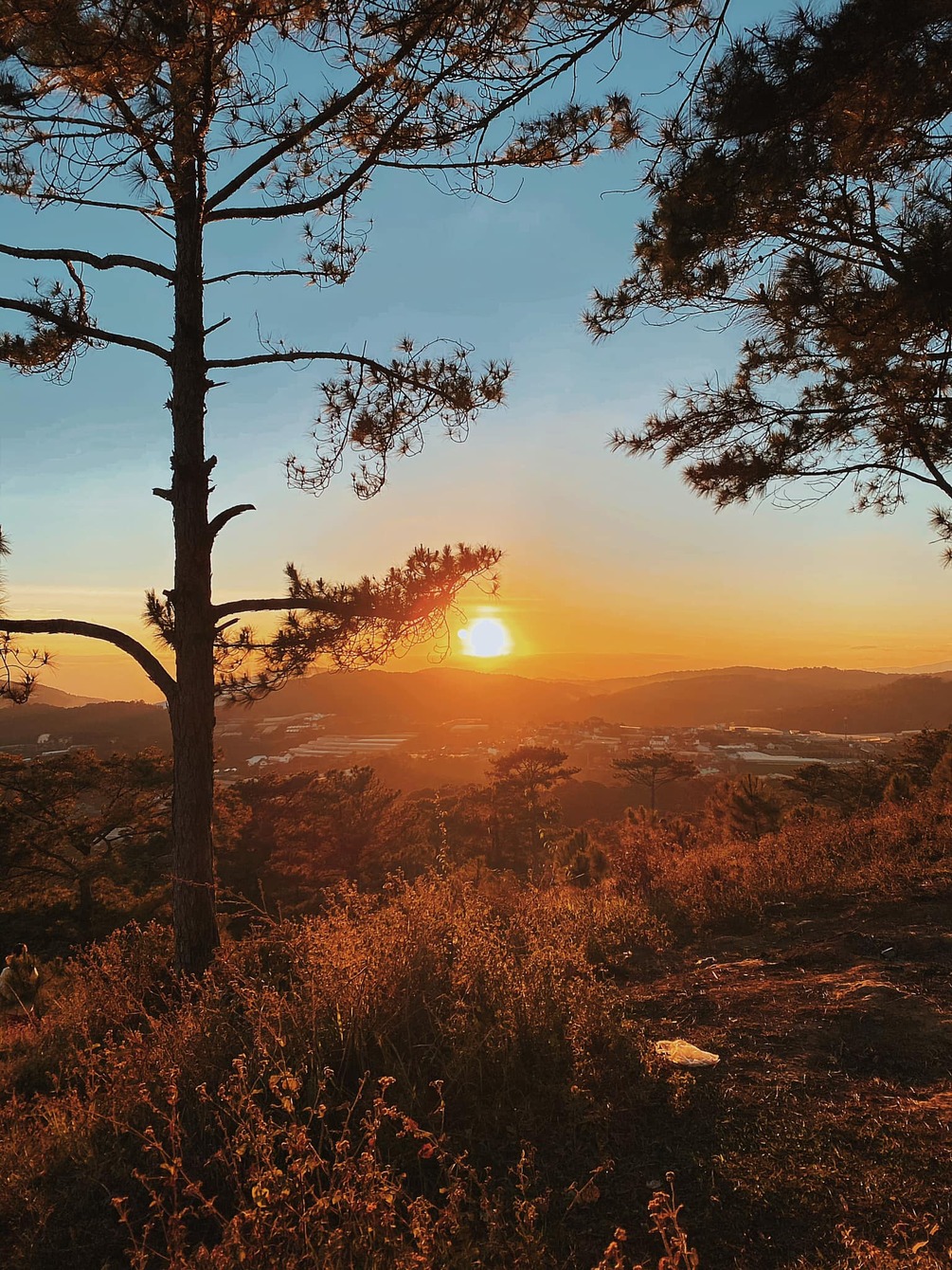 A Guide to Sensing and Feeling Energy: Discover Your Unique Abilities