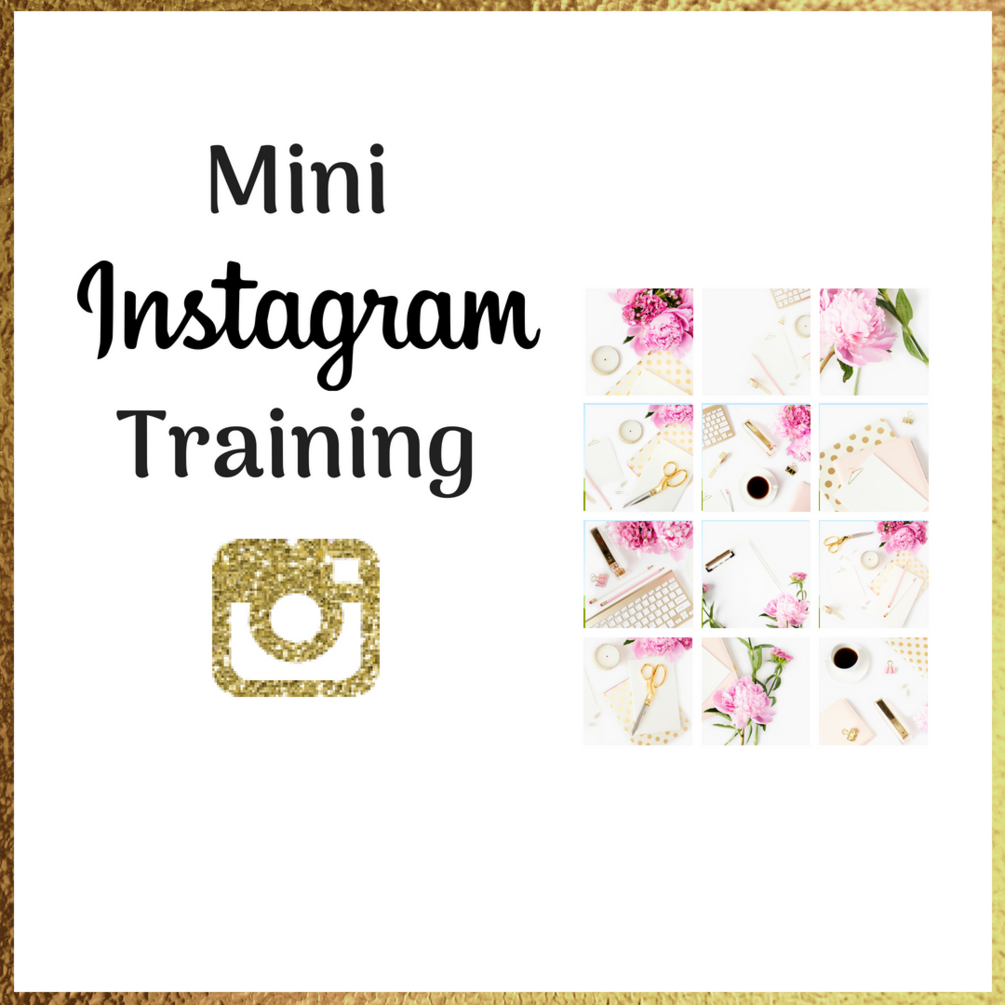 Mini Instagram Training