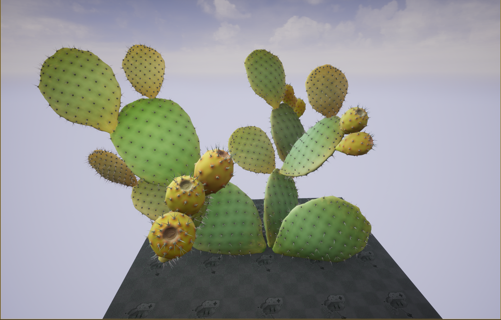 Procedural Cactus - 3D Houdini File