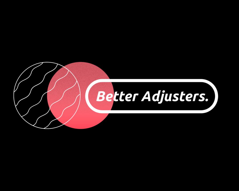 Insurance Adjuster Guides & Bundle