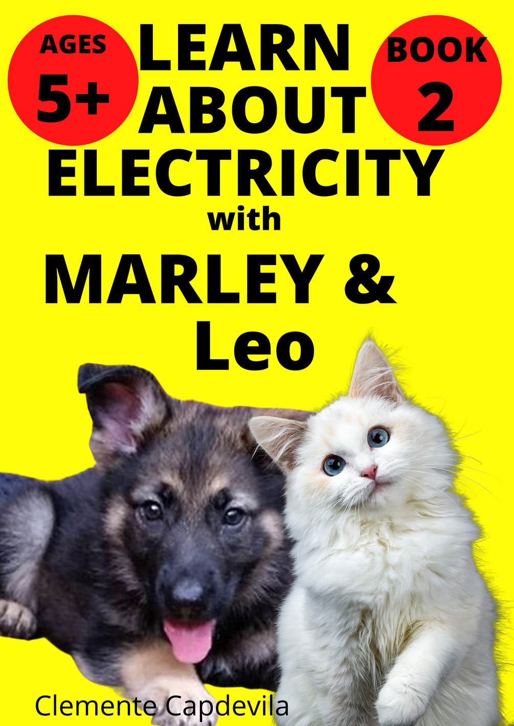 Marley teaches Leo about Safety Switches