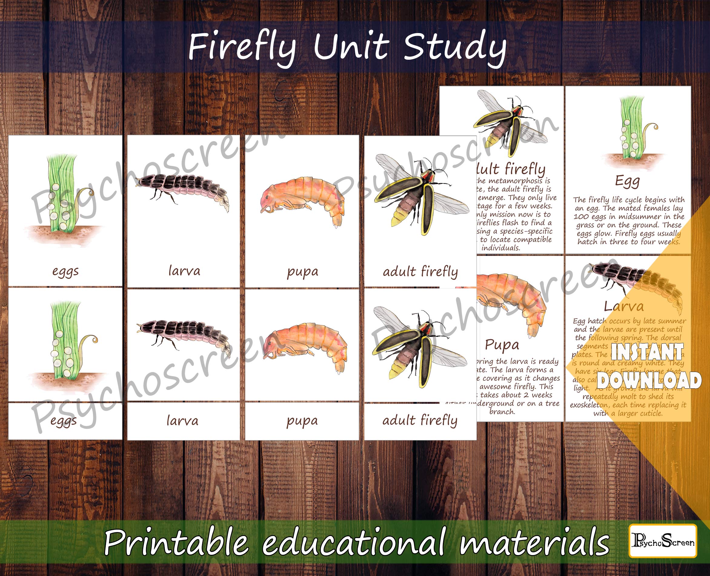 FIREFLY Unit Study: MEGA Printable fireflies set, Lighting bugs, insects