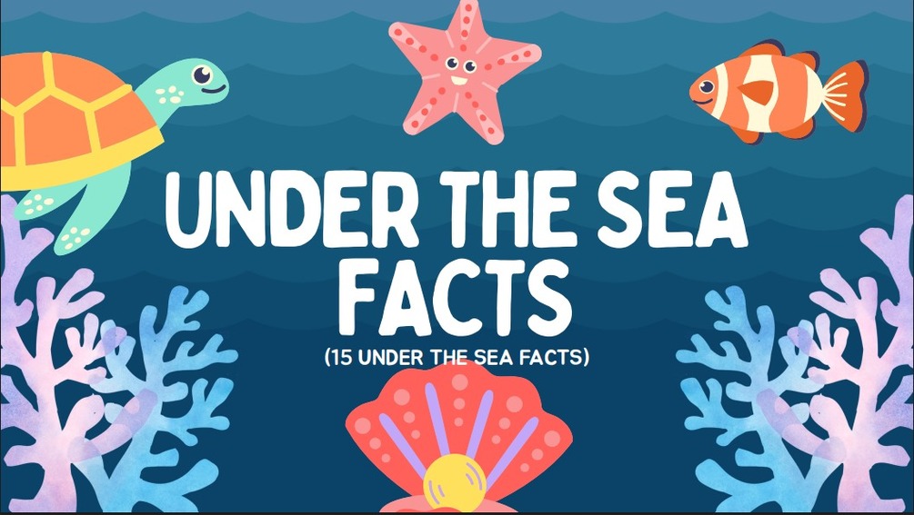 under the sea facts (for kids)