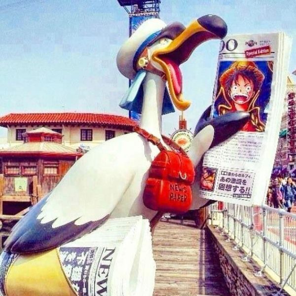 "Informante de One Piece, las entregas de News Coo."
