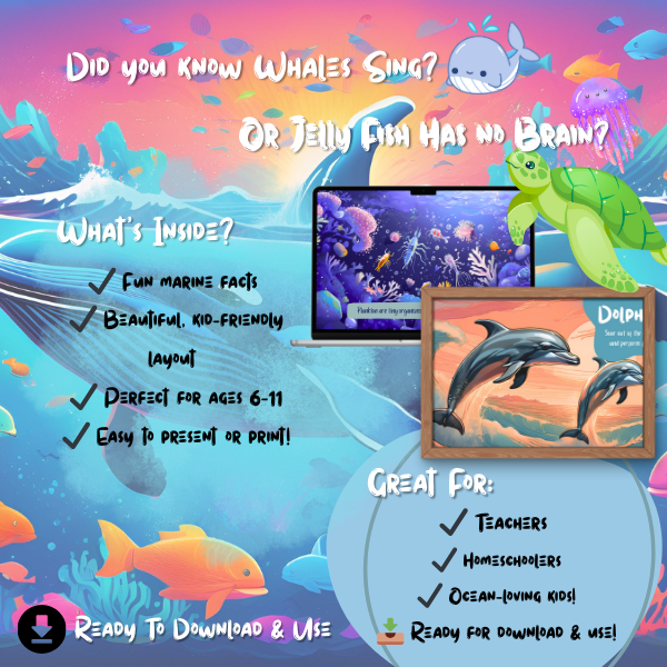 Discover Ocean Creatures – Kids’ Slideshow