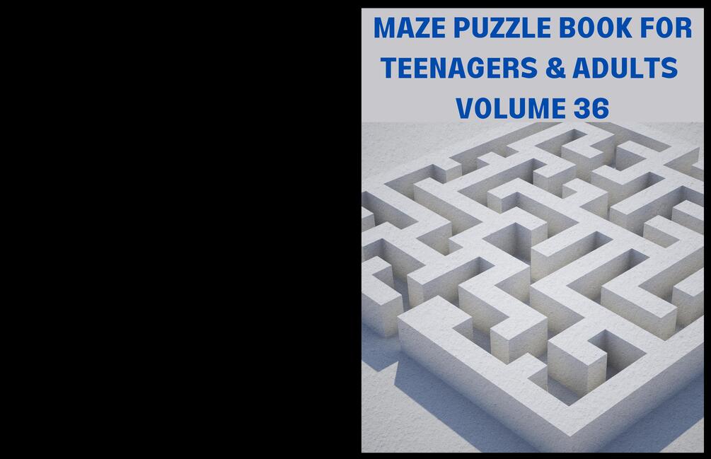 MAZE PUZZLE BOOK FOR TEENAGERS AND ADULTS VOLUME 36