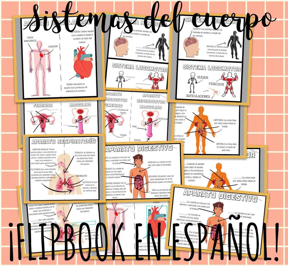 FLIPBOOK SISTEMAS DEL CUERPO. CIENCIAS NATURALES.