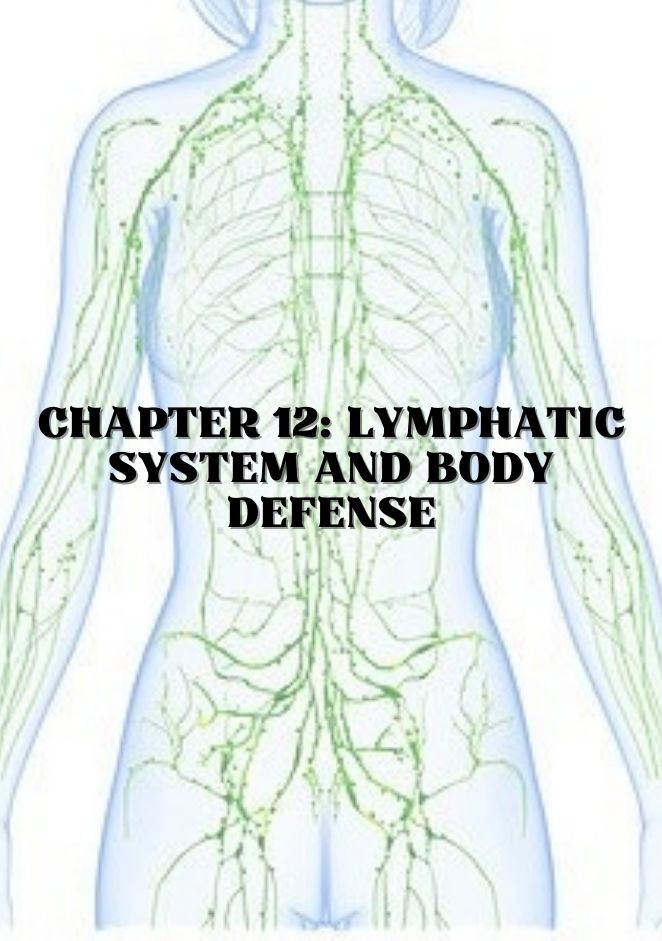 Lymphatic system and body defense
