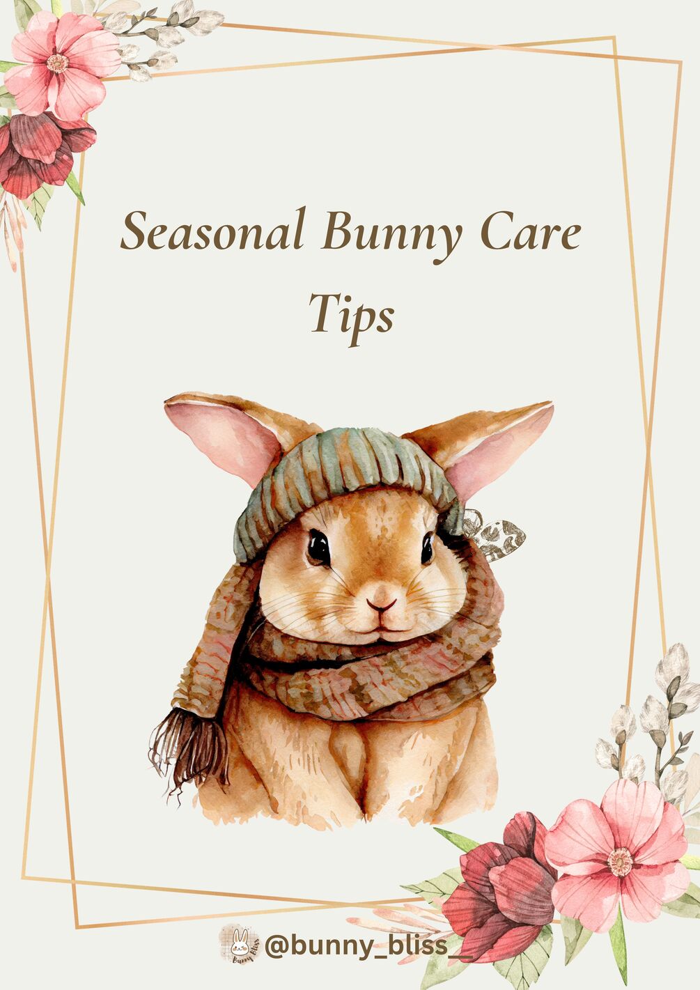 Seasonal Bunny Care Tips