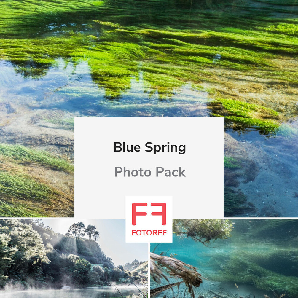 464 photos of Blue Spring