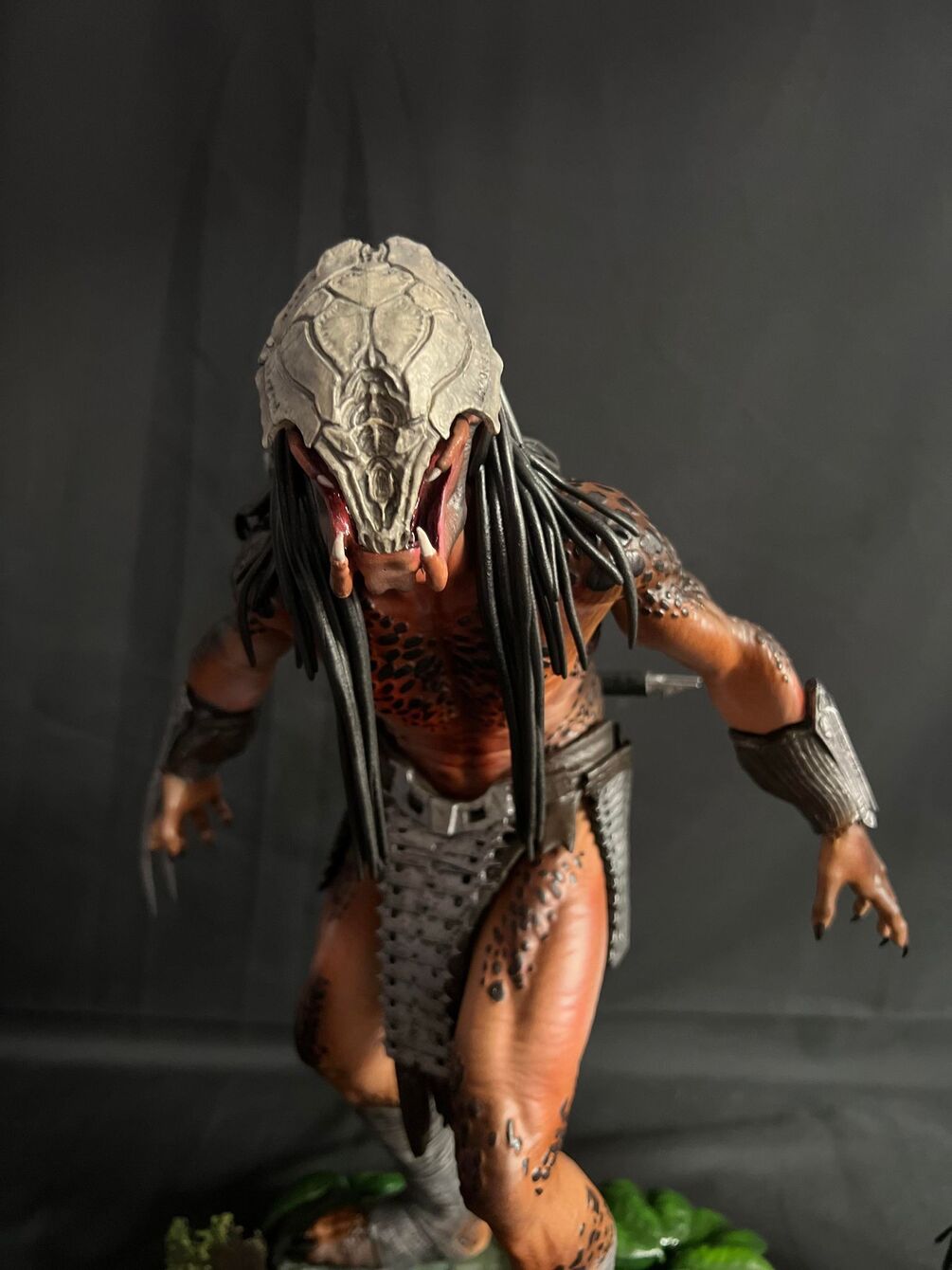 Predator(Prey)