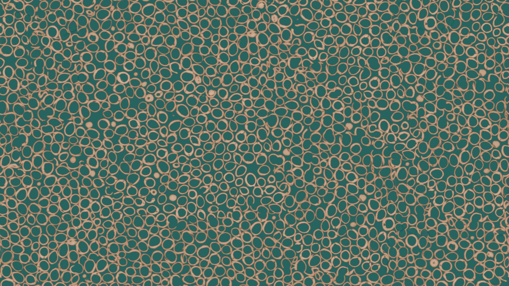 (FREE PRODUCT) Alien Skin Textures 1k 2k 4k #5