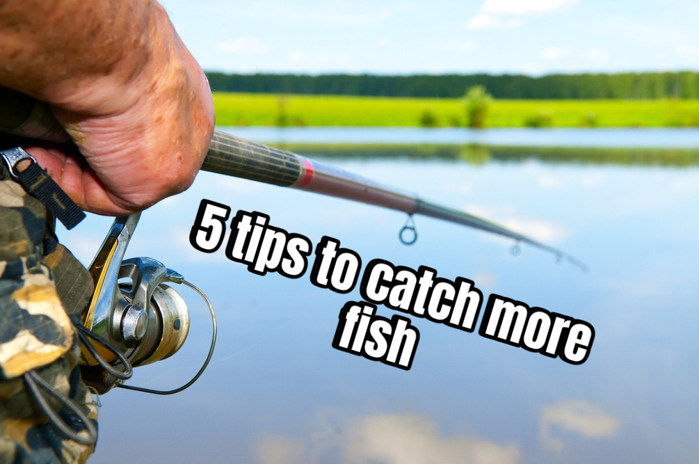 Five Tips to Catch More Fish