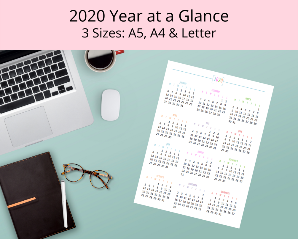 2020 Year at a Glance