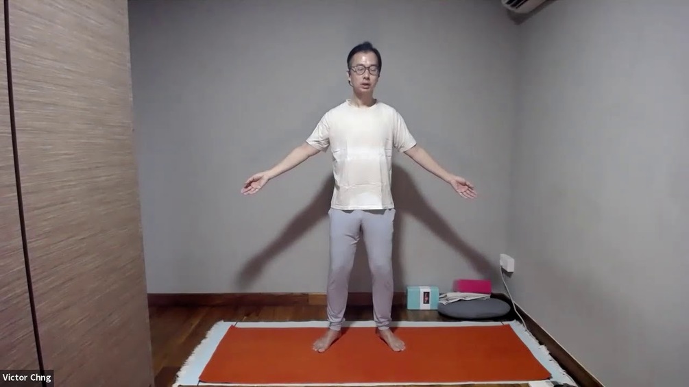 Basic Qigong & Swimming Dragon Practice | Session 1