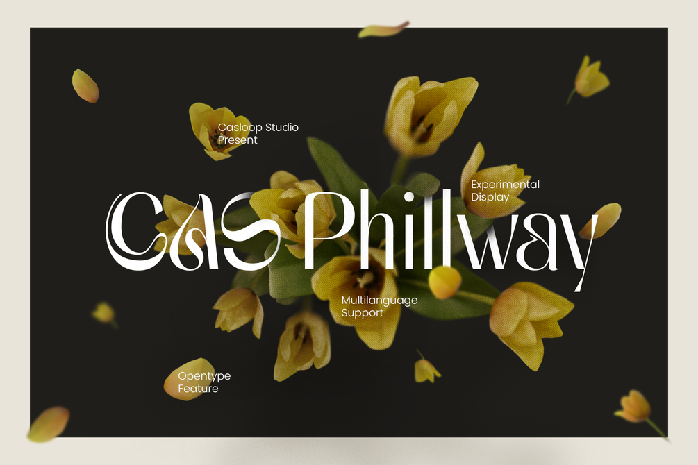 Cas Phillway Modern Display Typeface