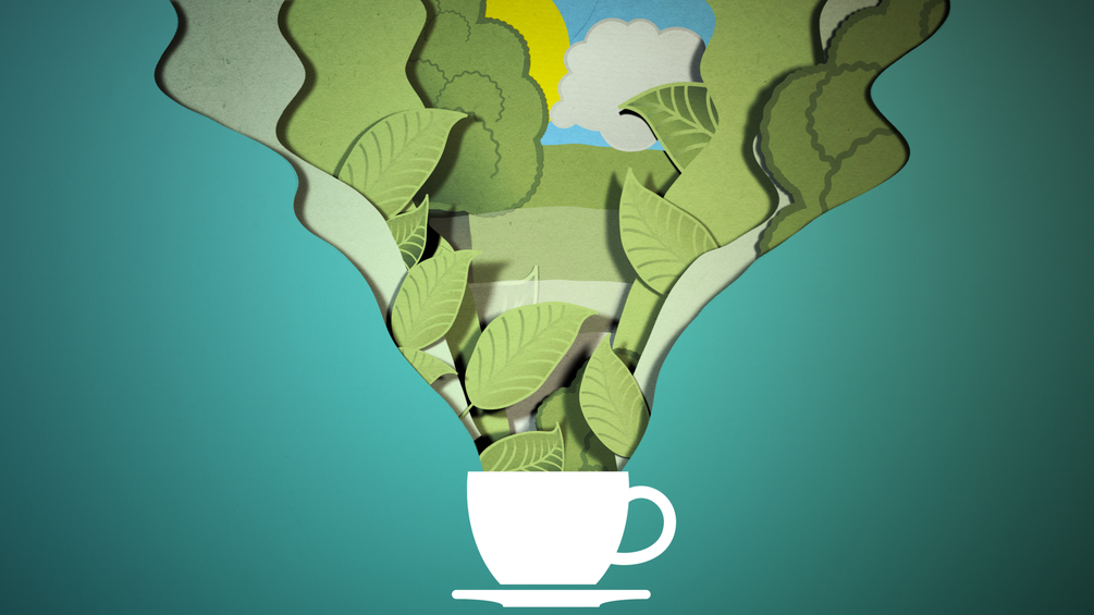 Tea Time - No Copyright, Copyright Free Videos, 4k, 15-seconds loop ...