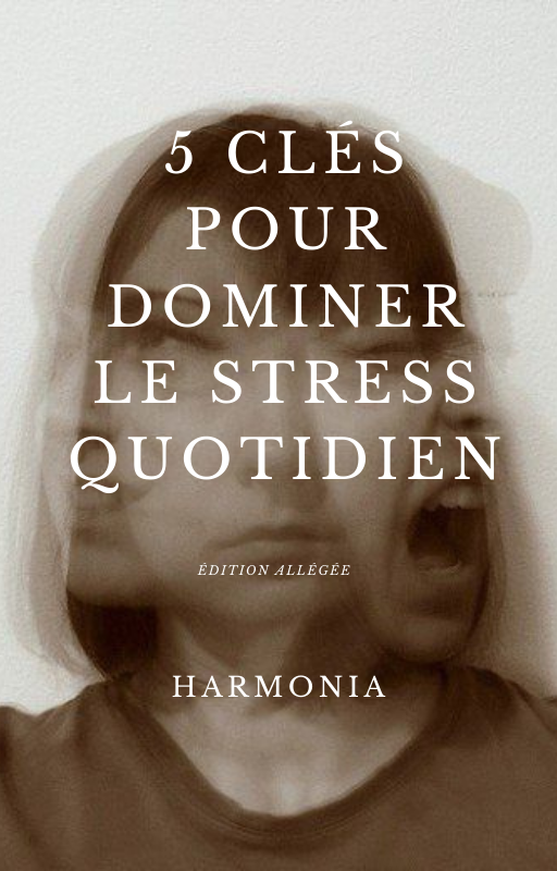 5 Clés pour Dominer le Stress Quotidien
