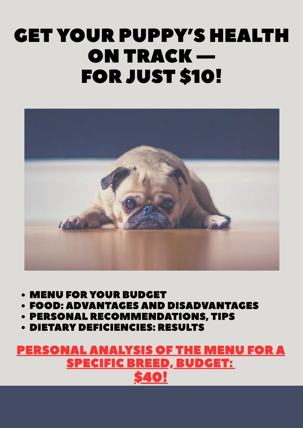 Menus for dogs and cats for any budget