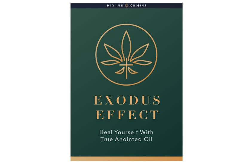 Exodus Effect Reviews 2022