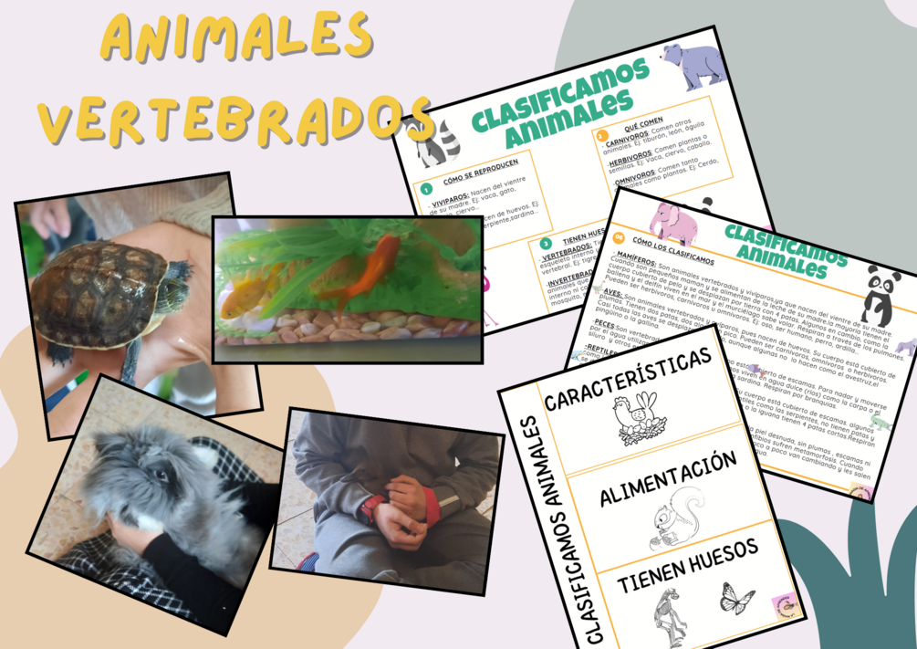 CIENCIAS NATURALES: Clasificación animales vertebrados