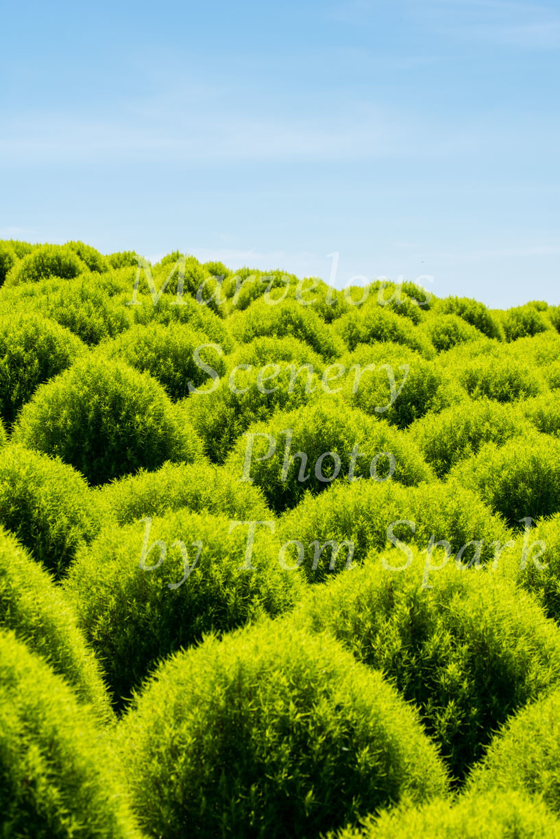 180901_04_023,024,025