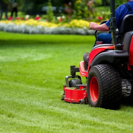 Lawn Service: Mowing, Edging, Weed Whacking