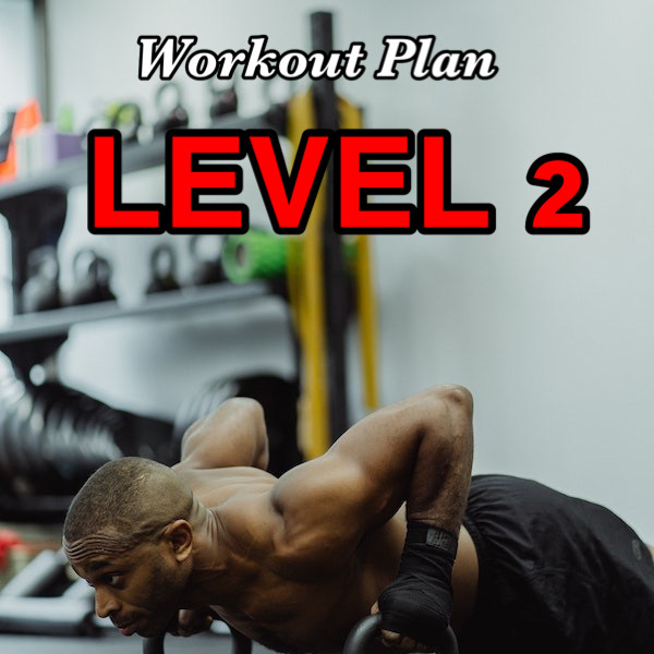 Workout Plan | Level 2